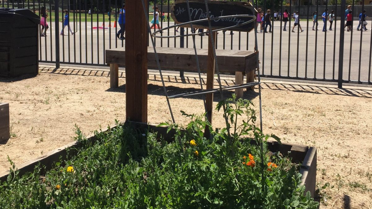 2018 Grant Recipients | Sacramento Perennial Plant Club